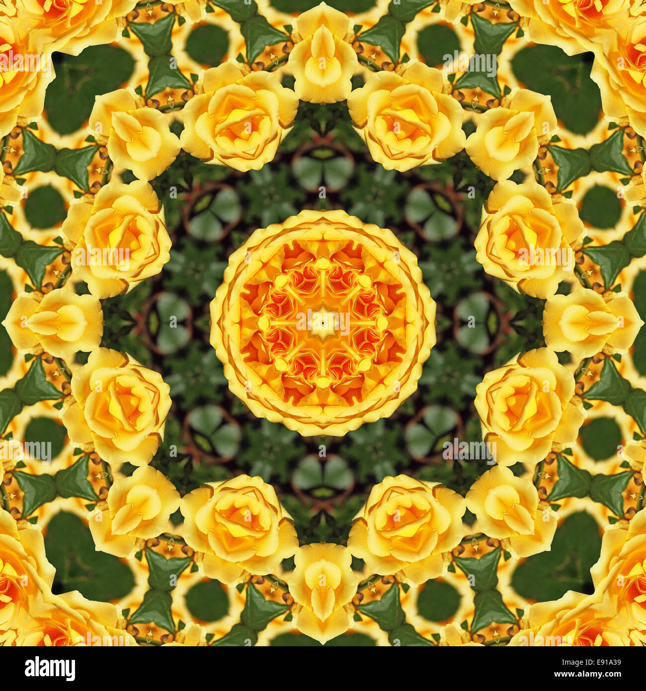 Yellow Roses Mandala Stock Photo - Alamy