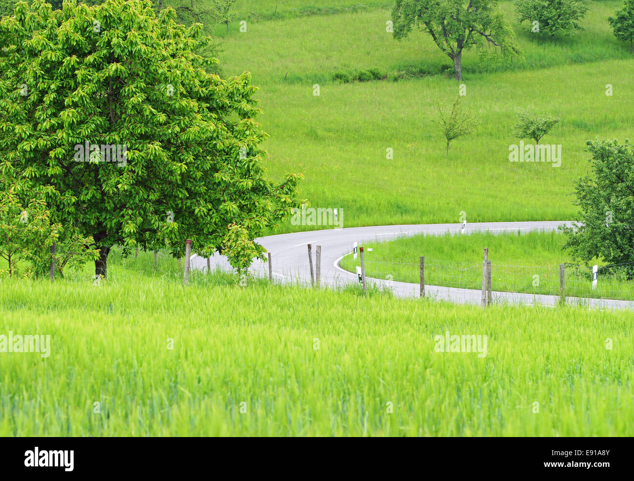 Street and Nature Stock Photo - Alamy