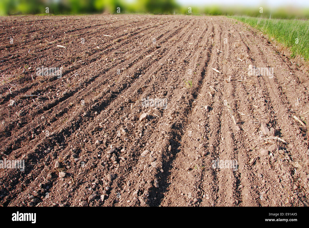 Ploughed field ready seed hi-res stock photography and images - Alamy