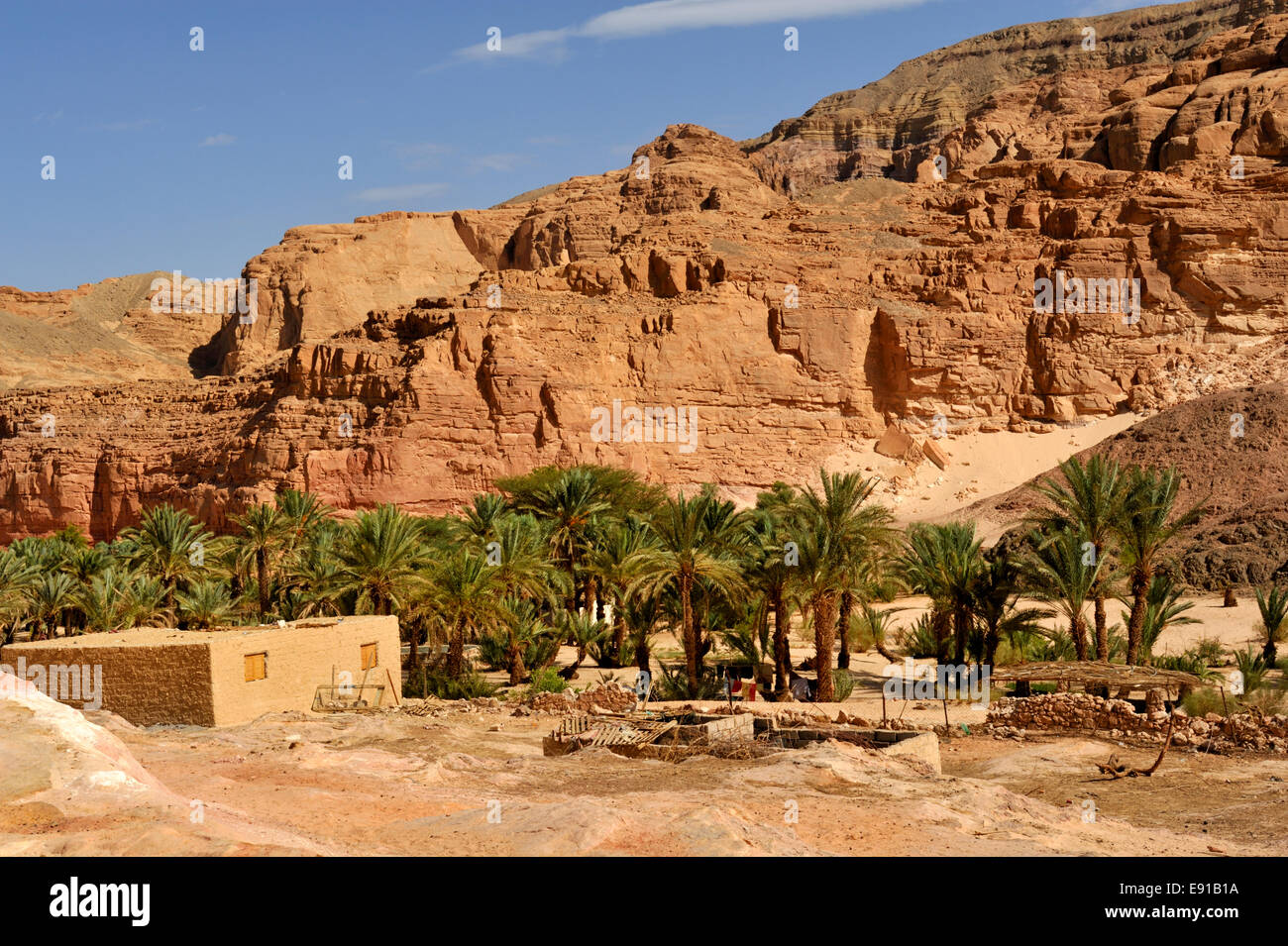 Ain Hudra (or Ayun Khodra) Oasis in south Sinai desert a Bedouin camp ...