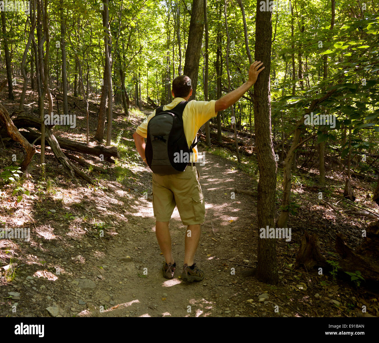 Senior man hiking in forest with backpack Stock Photo - Alamy