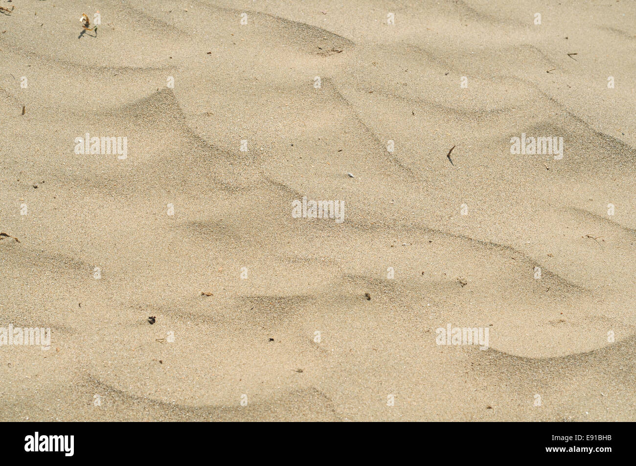 Light yellowish sand typical for some parts of Northland in New Zealand ...