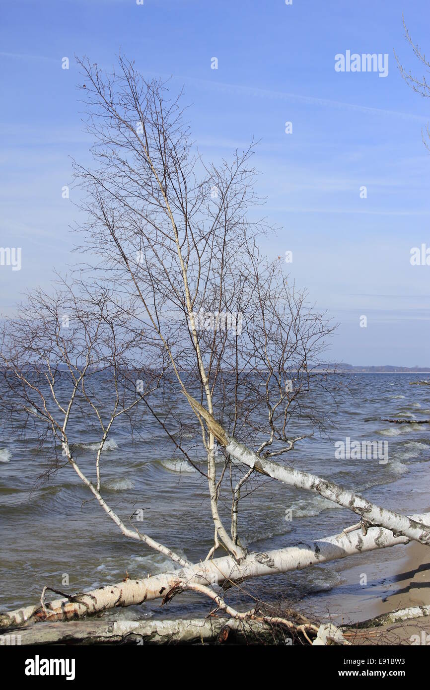 Usedom baltic sea coast hi-res stock photography and images - Alamy