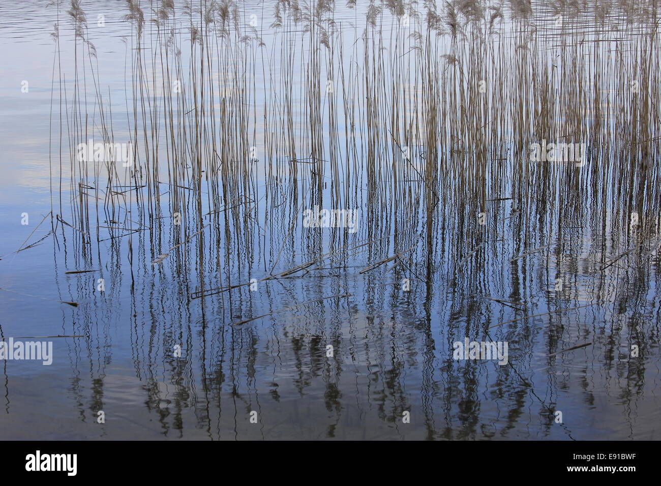 Crosswise pattern hi-res stock photography and images - Alamy