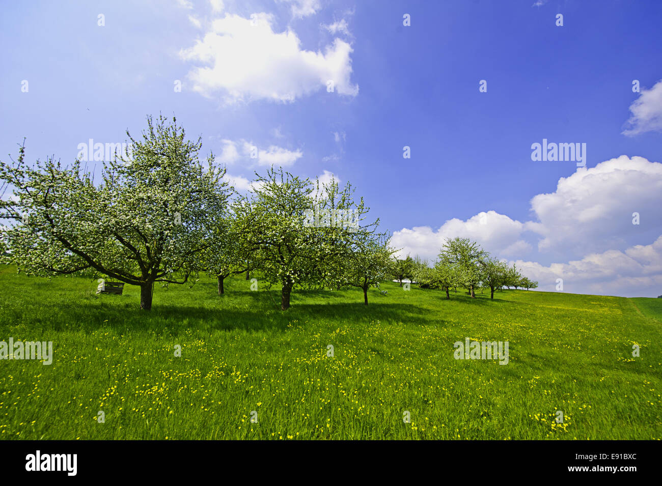 Spring time jahreszeiten hi-res stock photography and images - Alamy