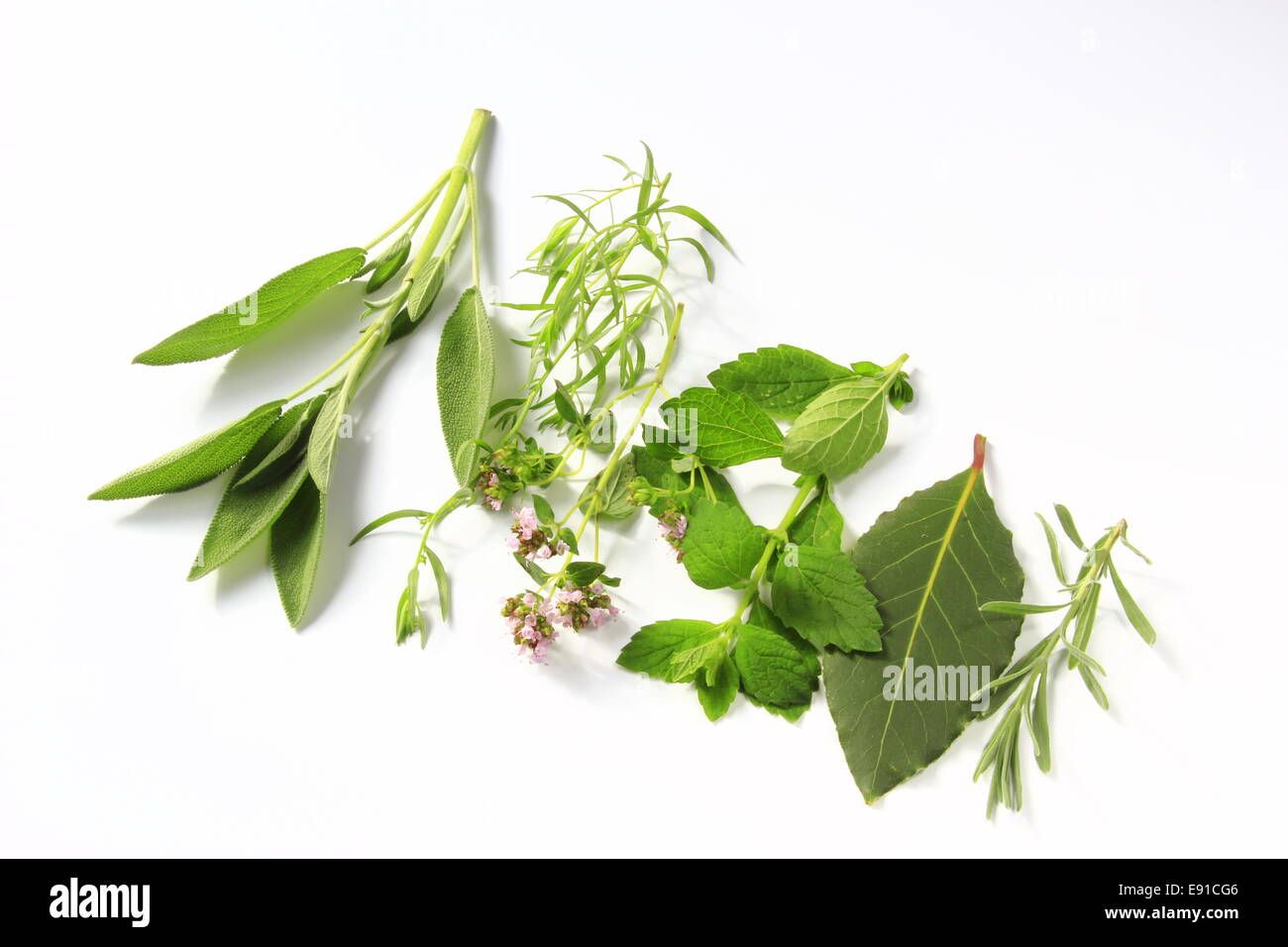 Cut out of herbs and spices hi-res stock photography and images - Alamy