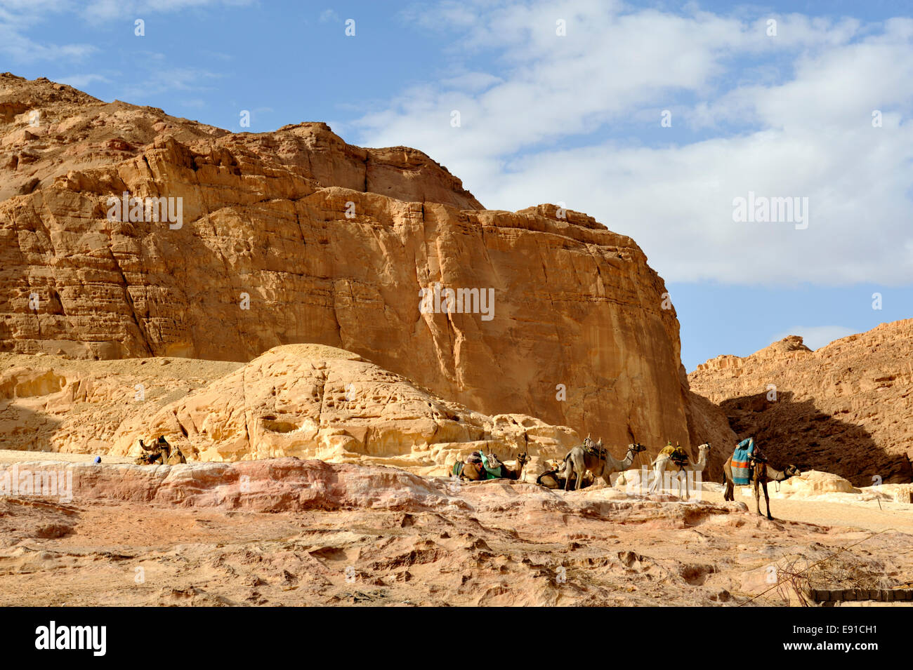 Khodra hi-res stock photography and images - Alamy