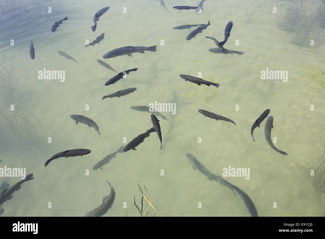 Storrage basin hi-res stock photography and images - Alamy