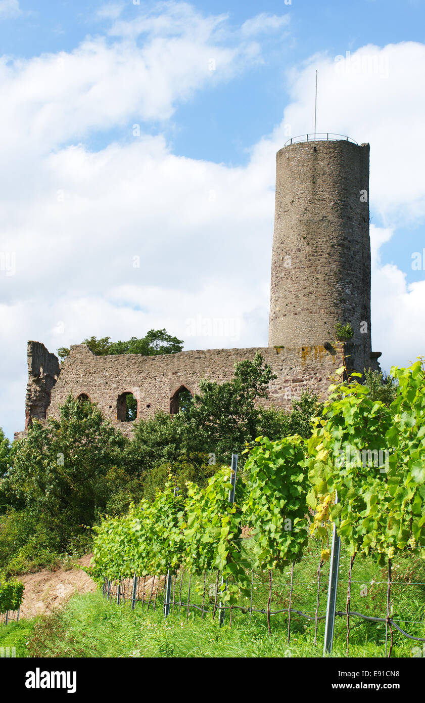 Old Castle with Vineyard Stock Photo - Alamy
