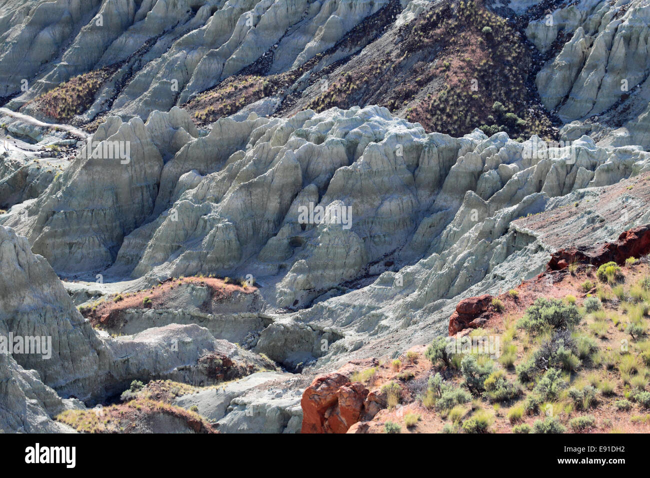 Blue Basin Area John Day Fossil Beds NM Stock Photo - Alamy