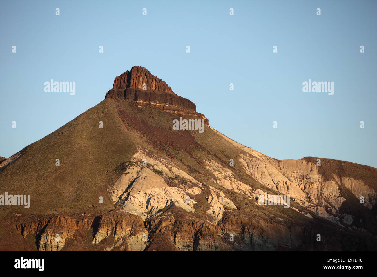 Sheep unit hi-res stock photography and images - Alamy