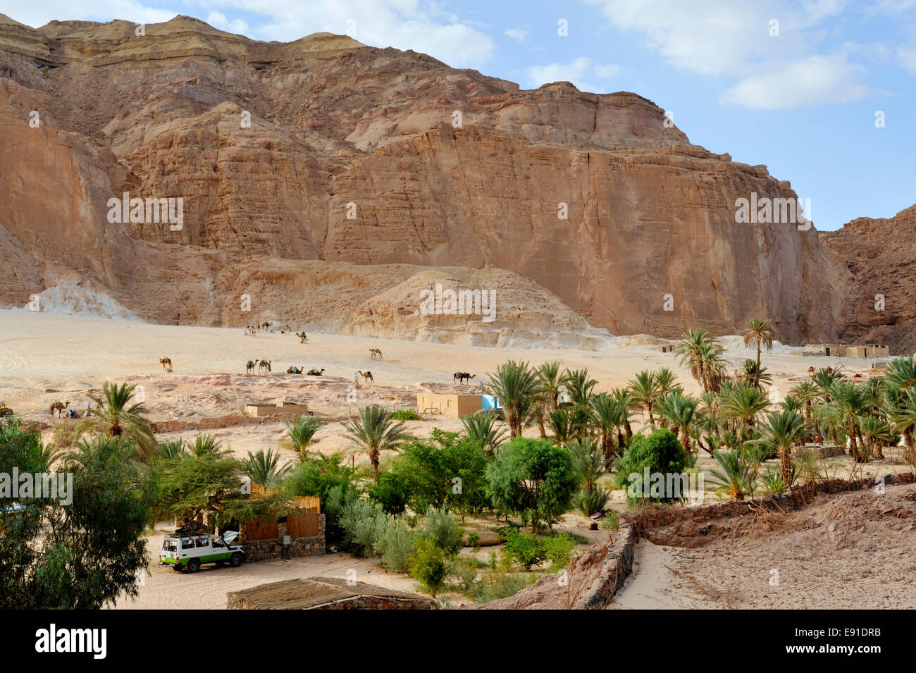 Ain Hudra (or Ayun Khodra) Oasis below impressive cliffs in south Sinai ...