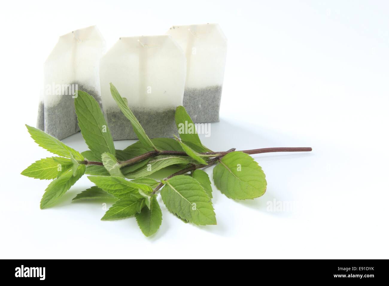 Pfefferminze pflanzen hi-res stock photography and images - Alamy