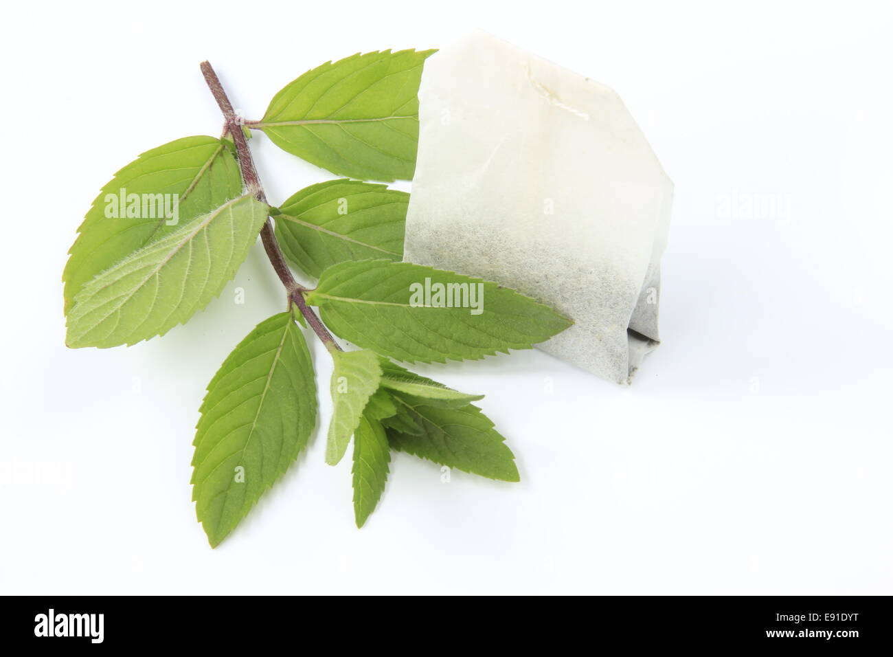 Peppermint tea bag hi-res stock photography and images - Alamy