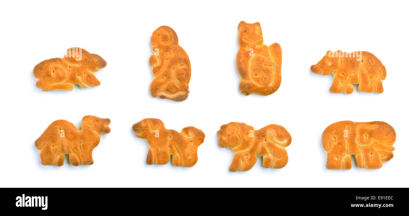 Zoo animals Cut Out Stock Images & Pictures - Alamy