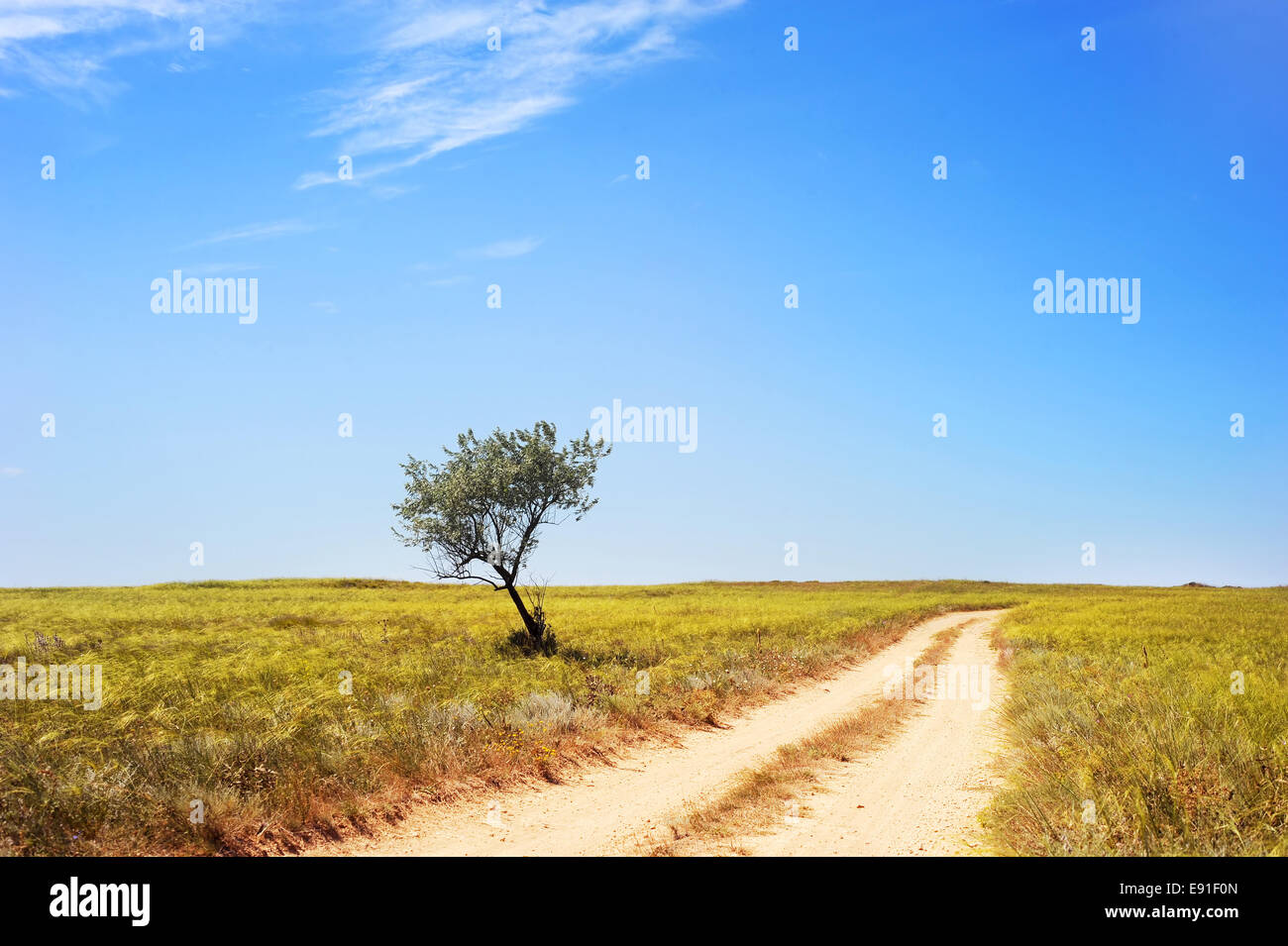 Empty landcape hi-res stock photography and images - Alamy