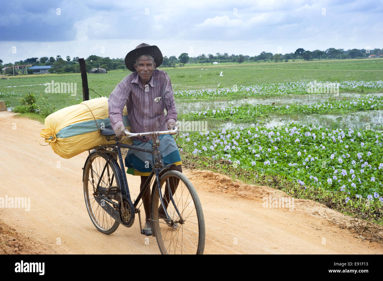 Senior adult beard bicycle hi-res stock photography and images - Alamy