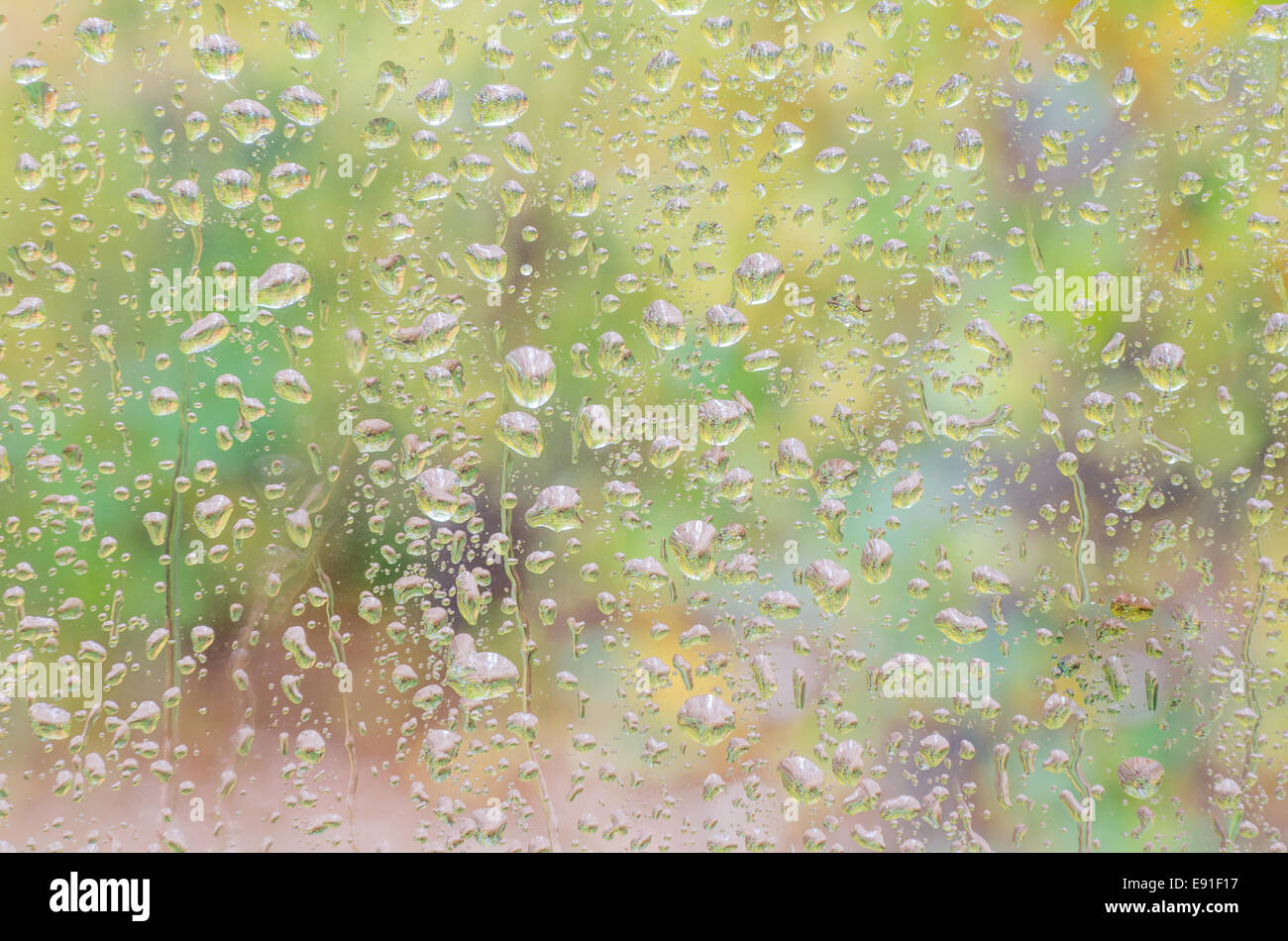 rain drops on window glass with forest background Stock Photo - Alamy