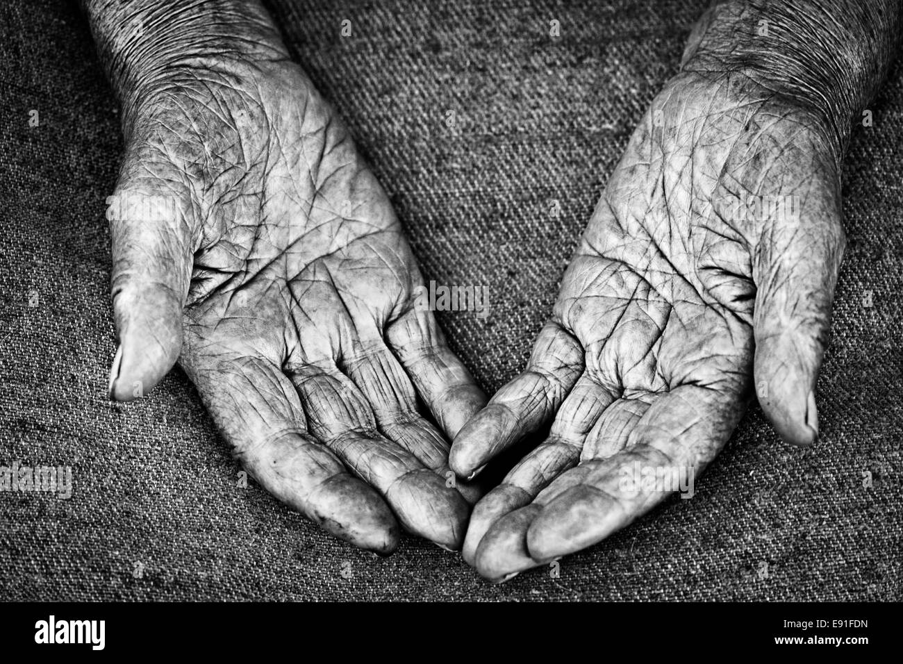 old woman hands Stock Photo - Alamy