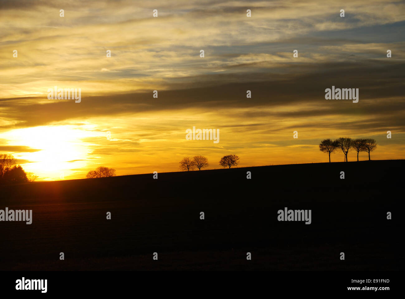 Silhouettes trees during sunrise hi-res stock photography and images ...