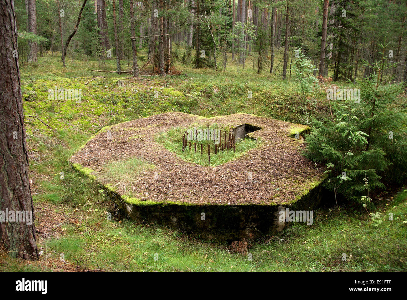 The base of a gun Stock Photo - Alamy