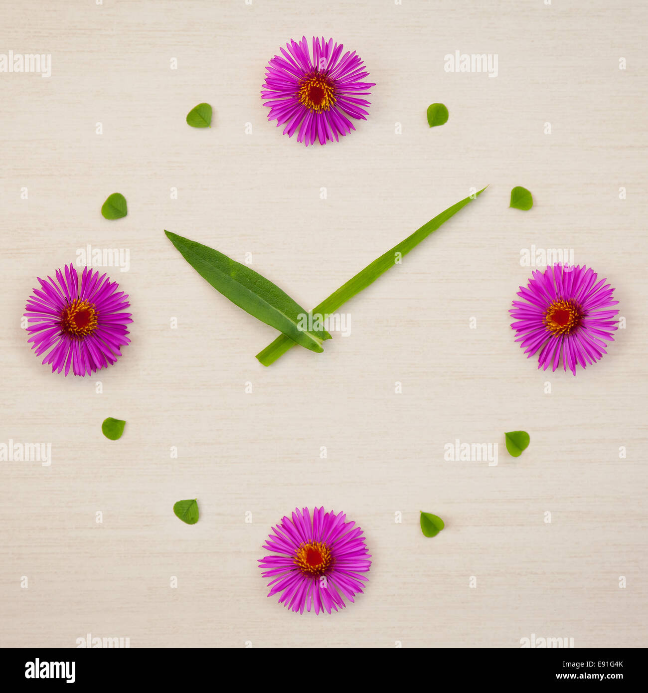 Botanical clock hi-res stock photography and images - Alamy