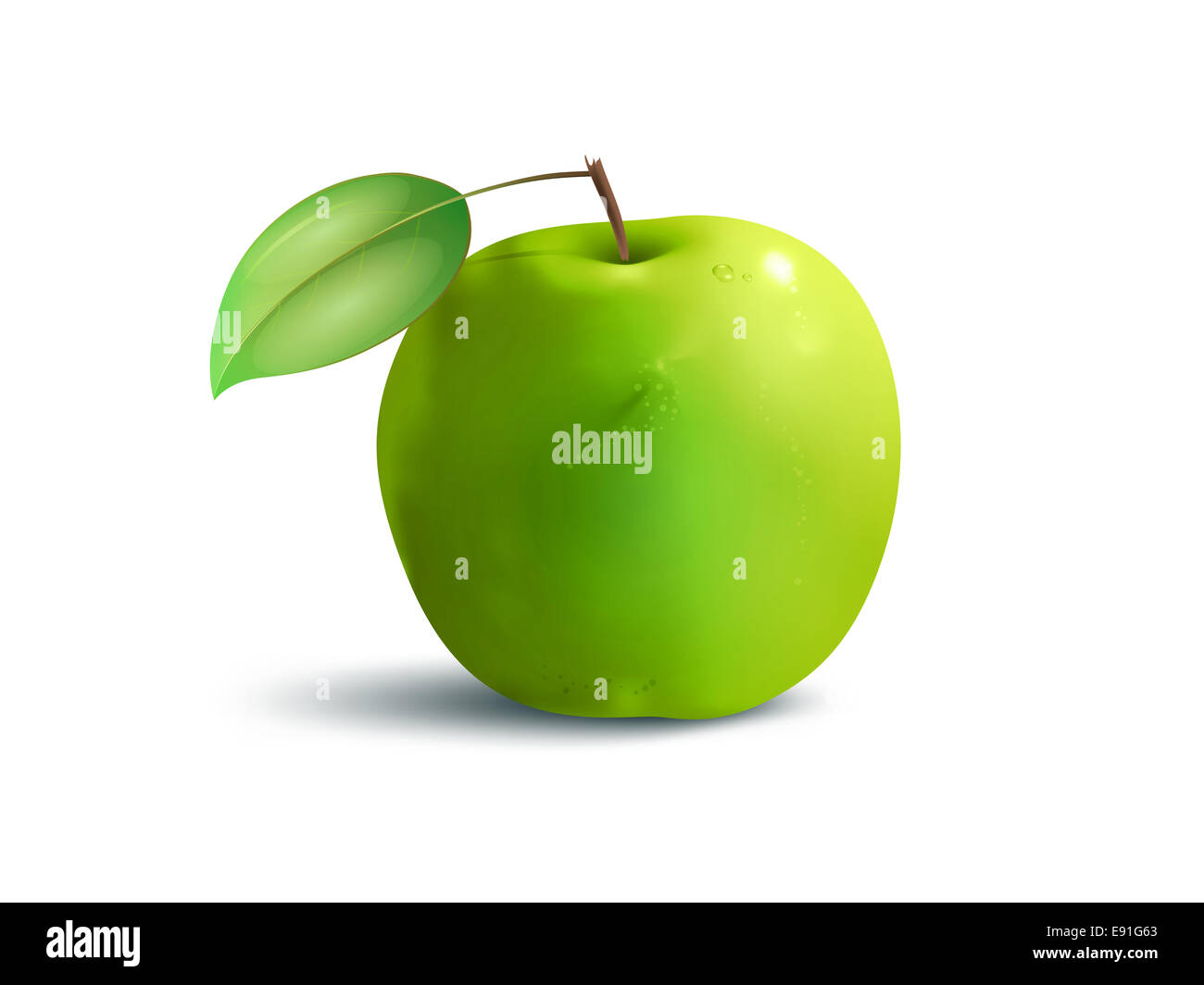 Single green apple stem hi-res stock photography and images - Alamy
