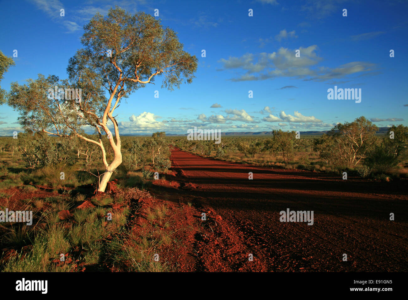 The Australian Outback Stock Photo - Alamy
