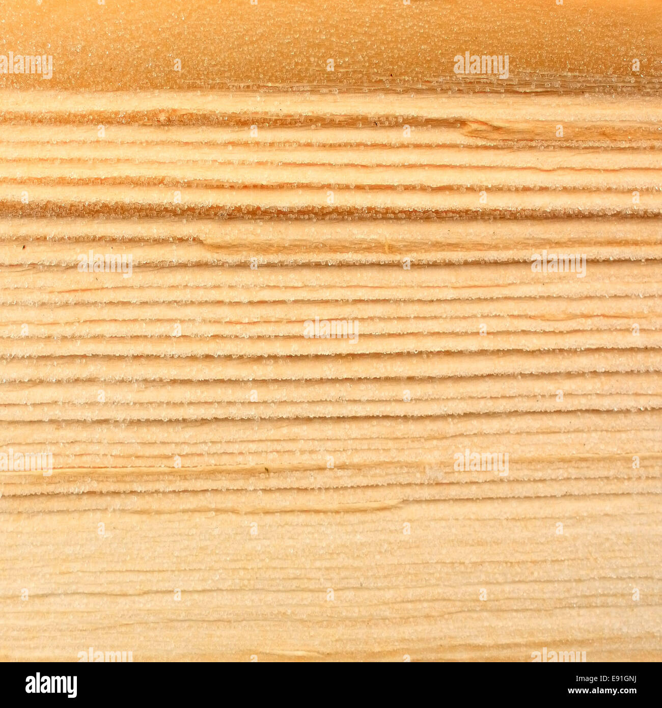 Flora board High Resolution Stock Photography and Images - Alamy