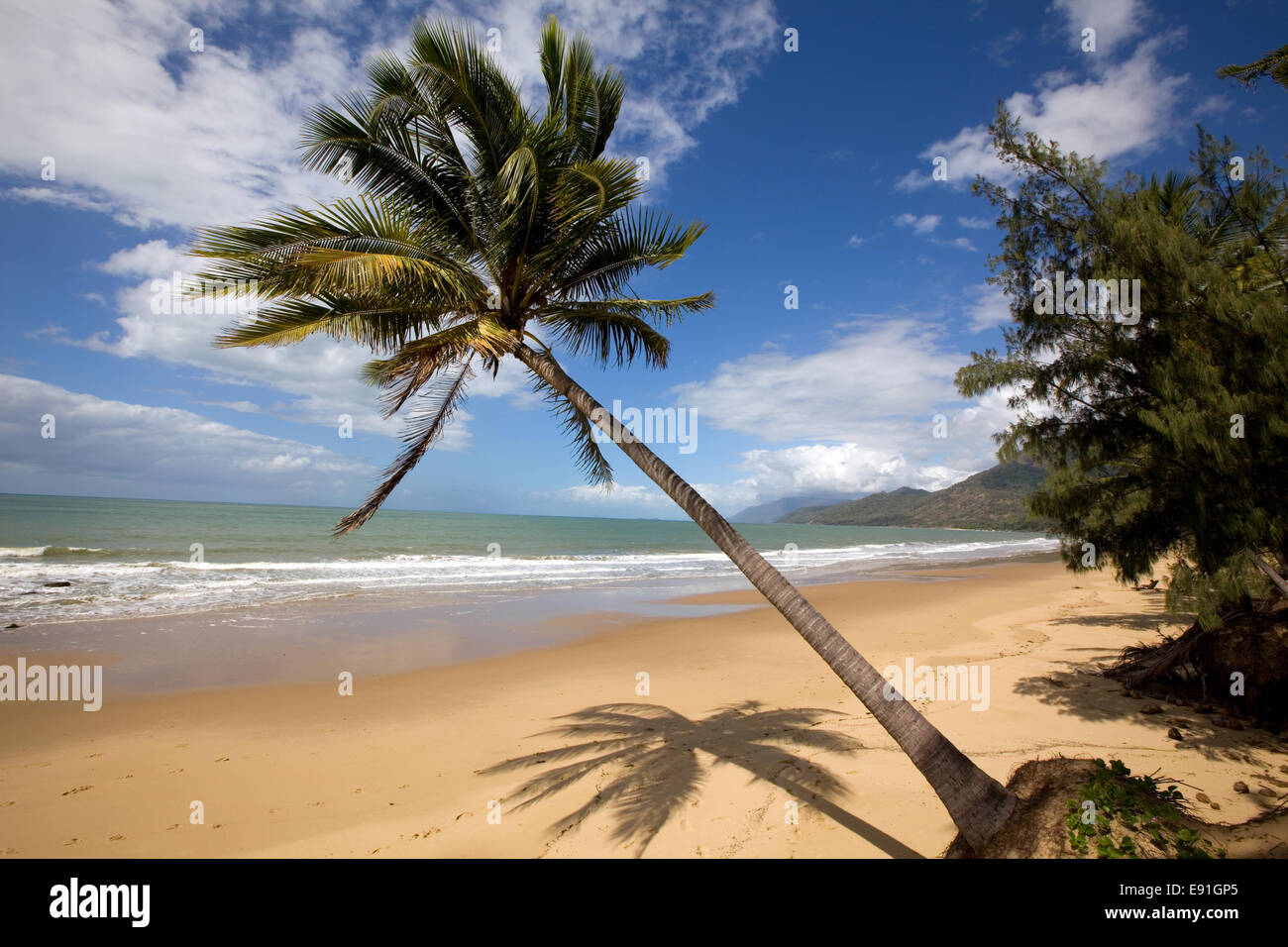 Thala Beach in Australia Stock Photo - Alamy