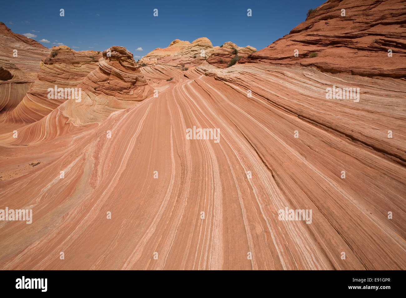 Pariah nation hi-res stock photography and images - Alamy