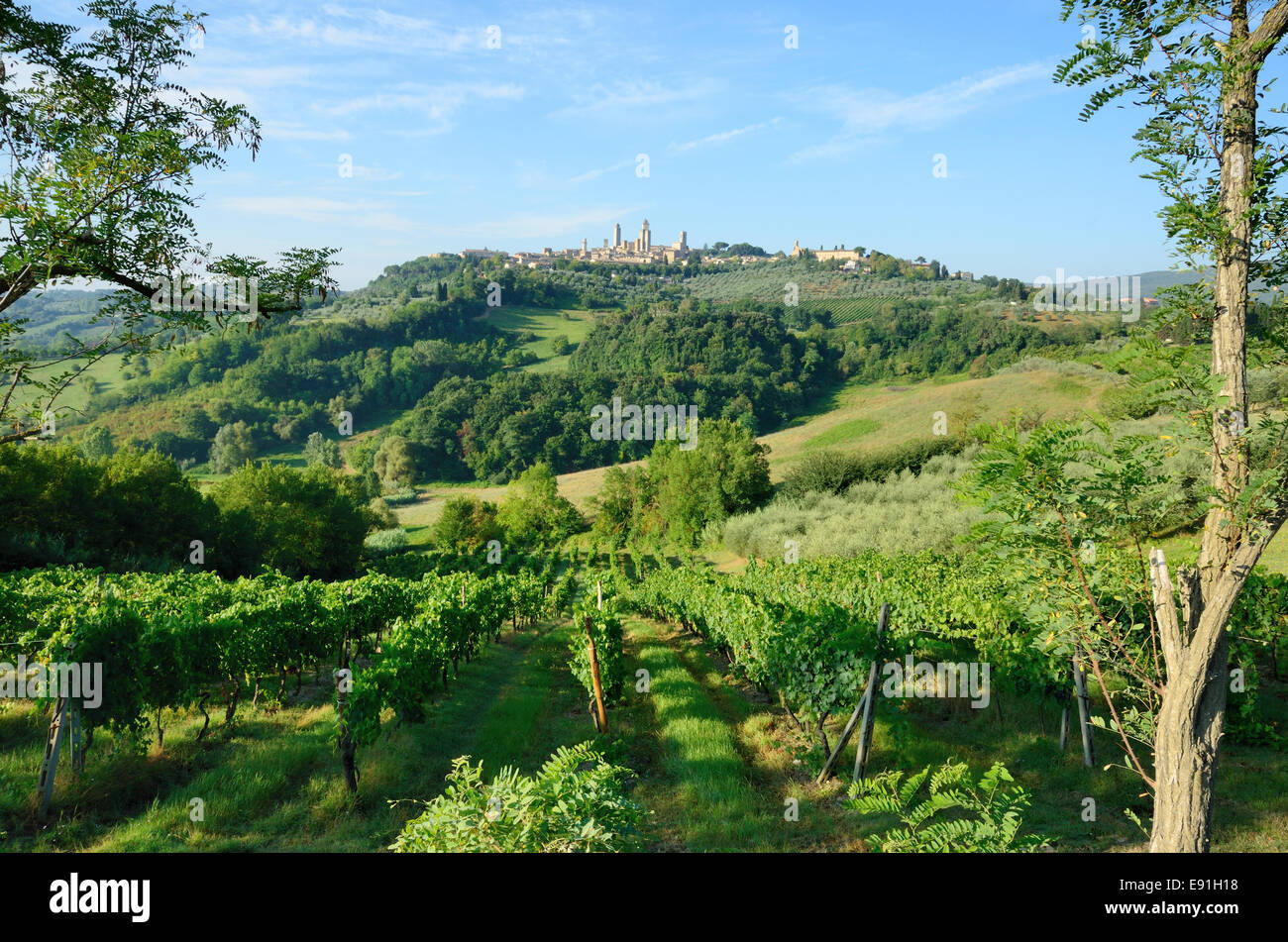 Country tuscan tuscan architecture hi-res stock photography and images ...