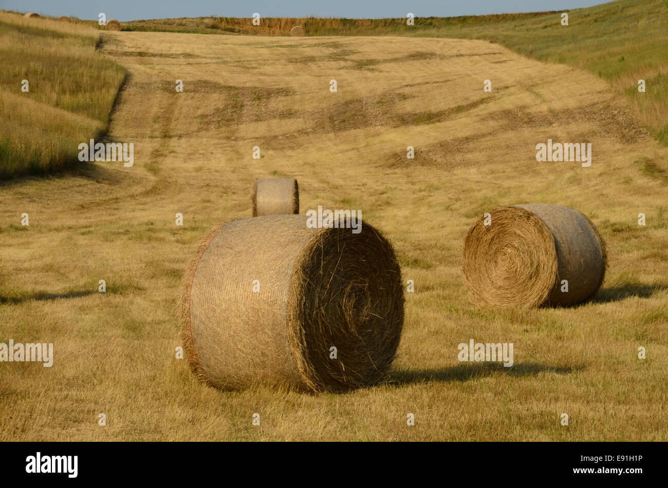 Round Bales on meadow Stock Photo - Alamy