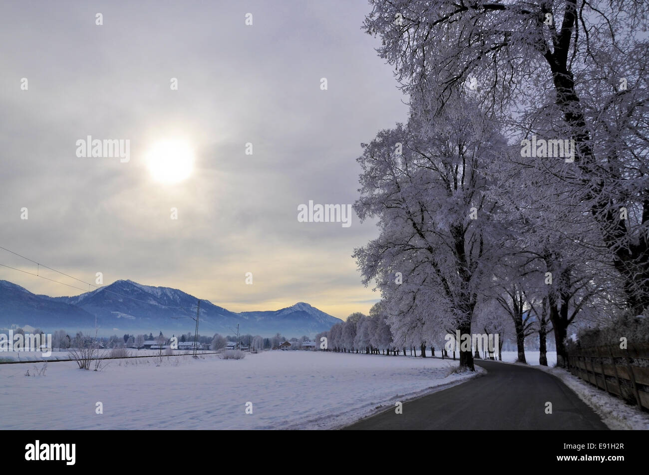 Canopy road hi-res stock photography and images - Alamy