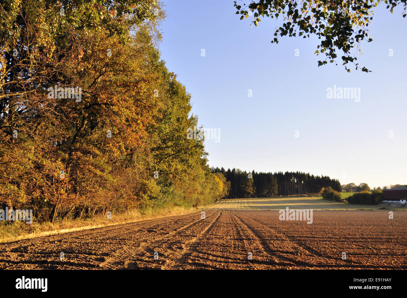 Empty agricultural landscape hi-res stock photography and images - Alamy