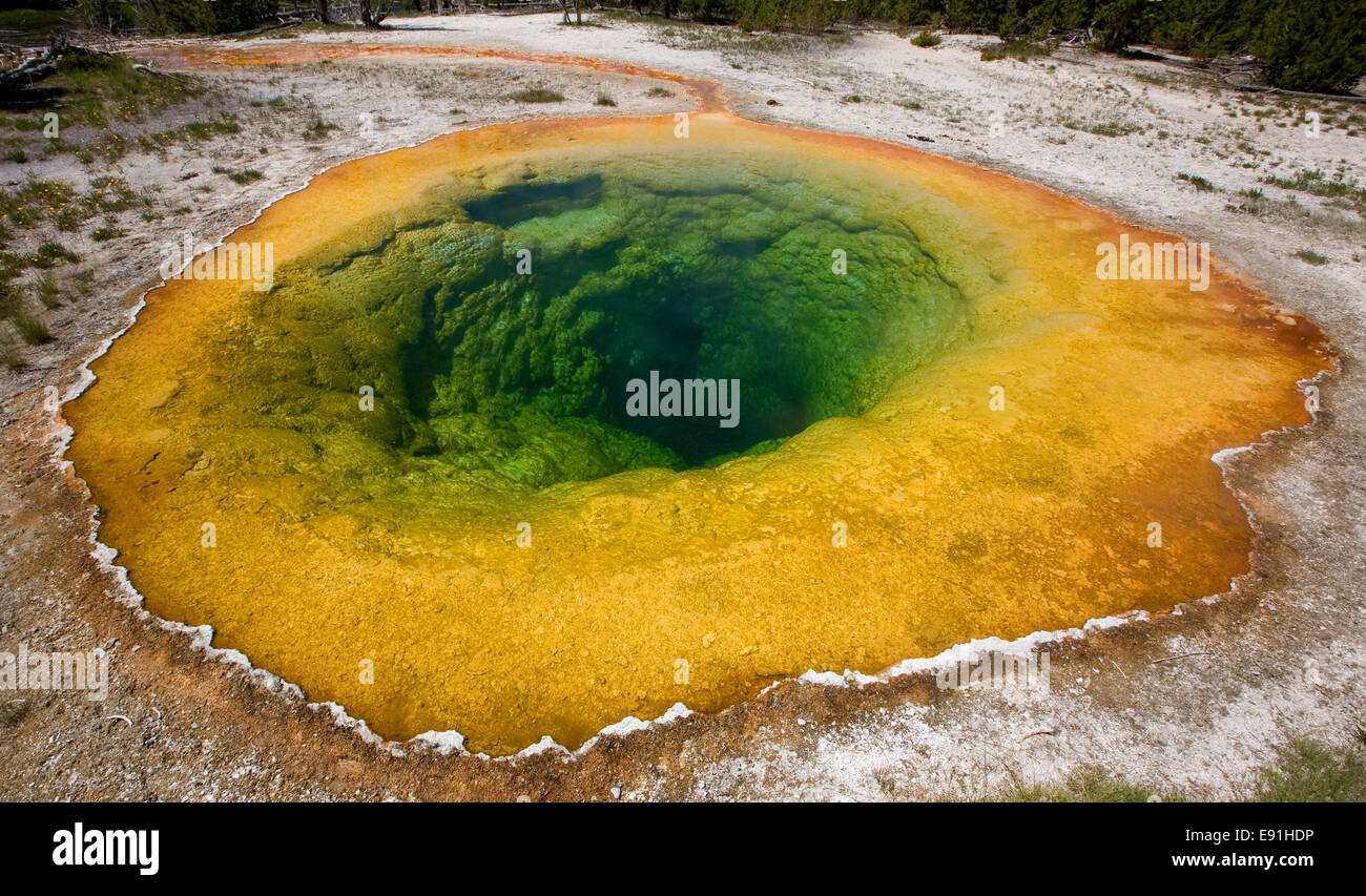 Morning Glory Pool Stock Photo - Alamy
