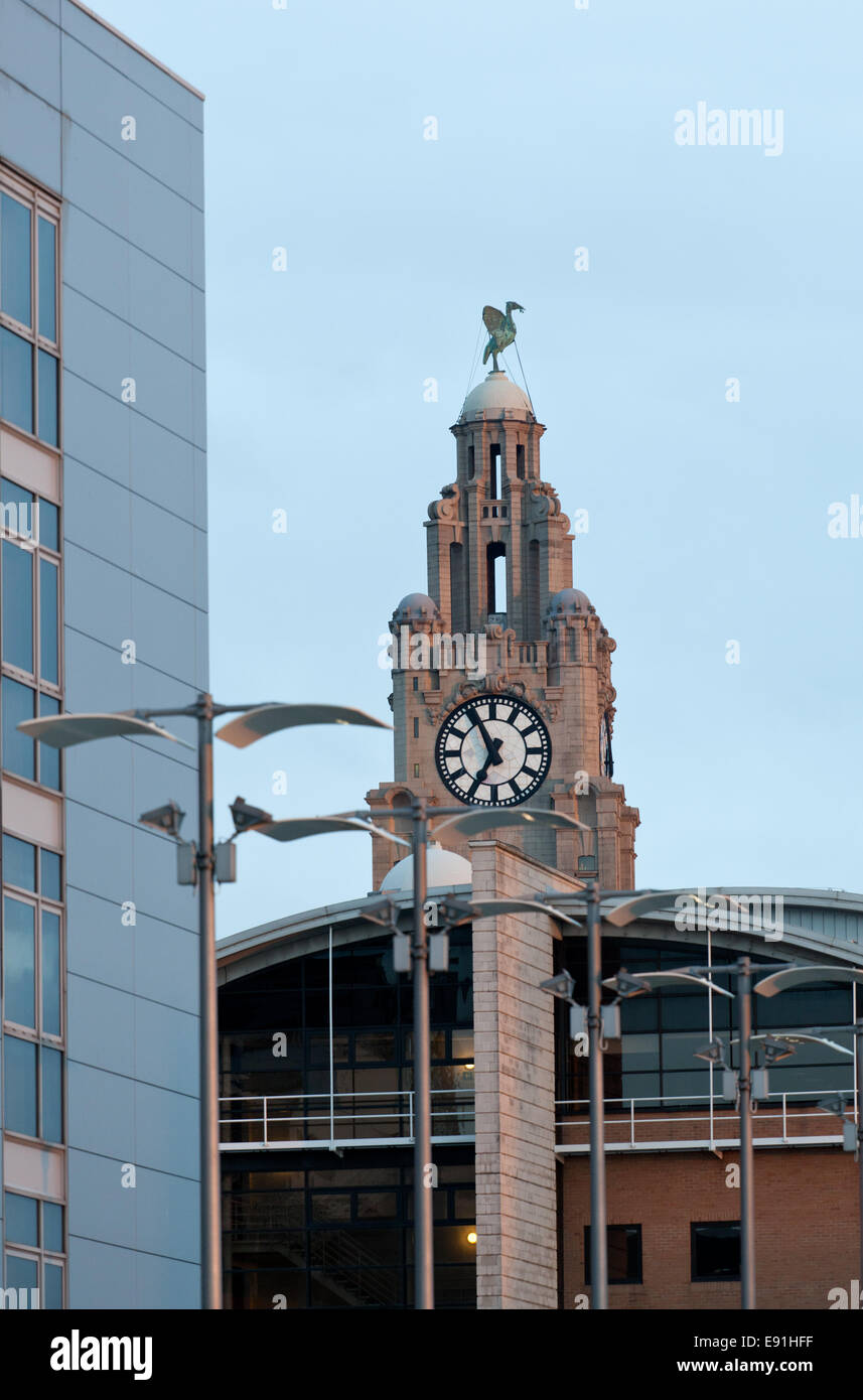 Liver Building tower Stock Photo - Alamy