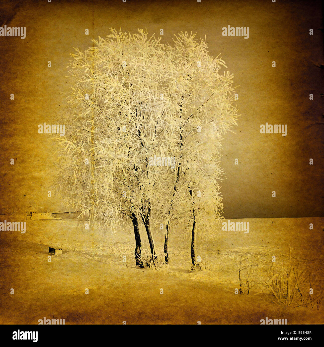 Nat page hi-res stock photography and images - Alamy