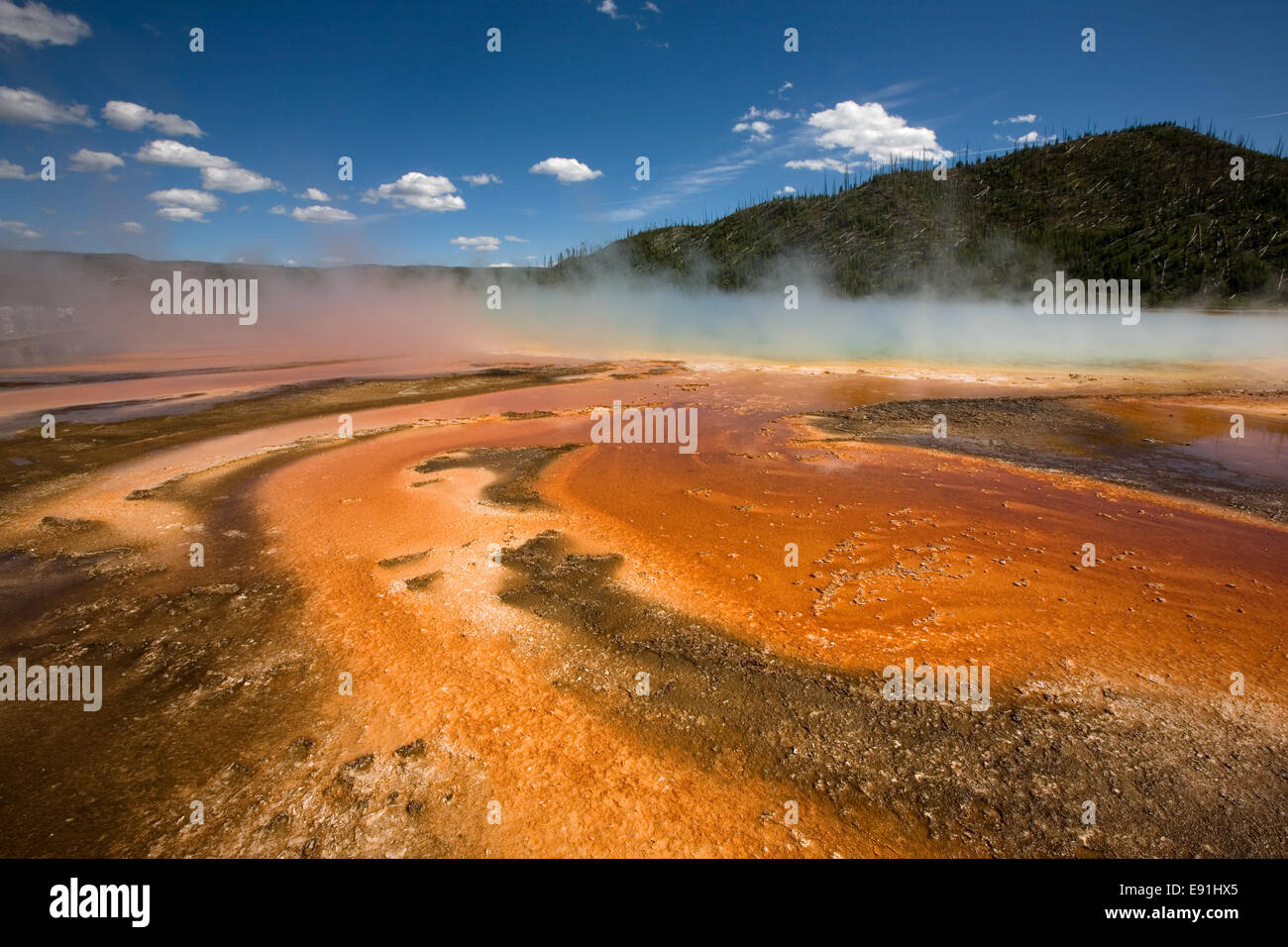 Grand Prismatic Spring Stock Photo - Alamy