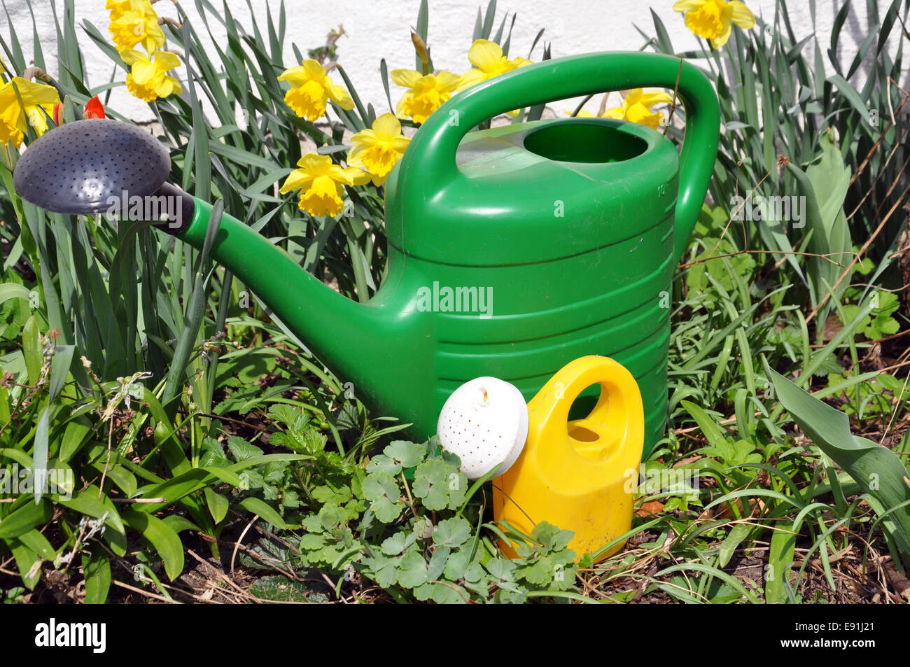 Small ewer hi-res stock photography and images - Alamy