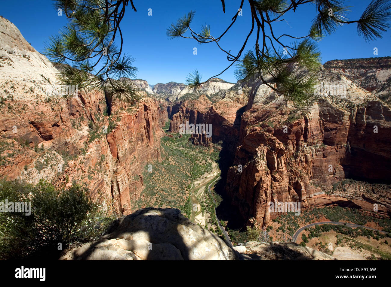 Look of the Angel's Landing hiking path Stock Photo - Alamy