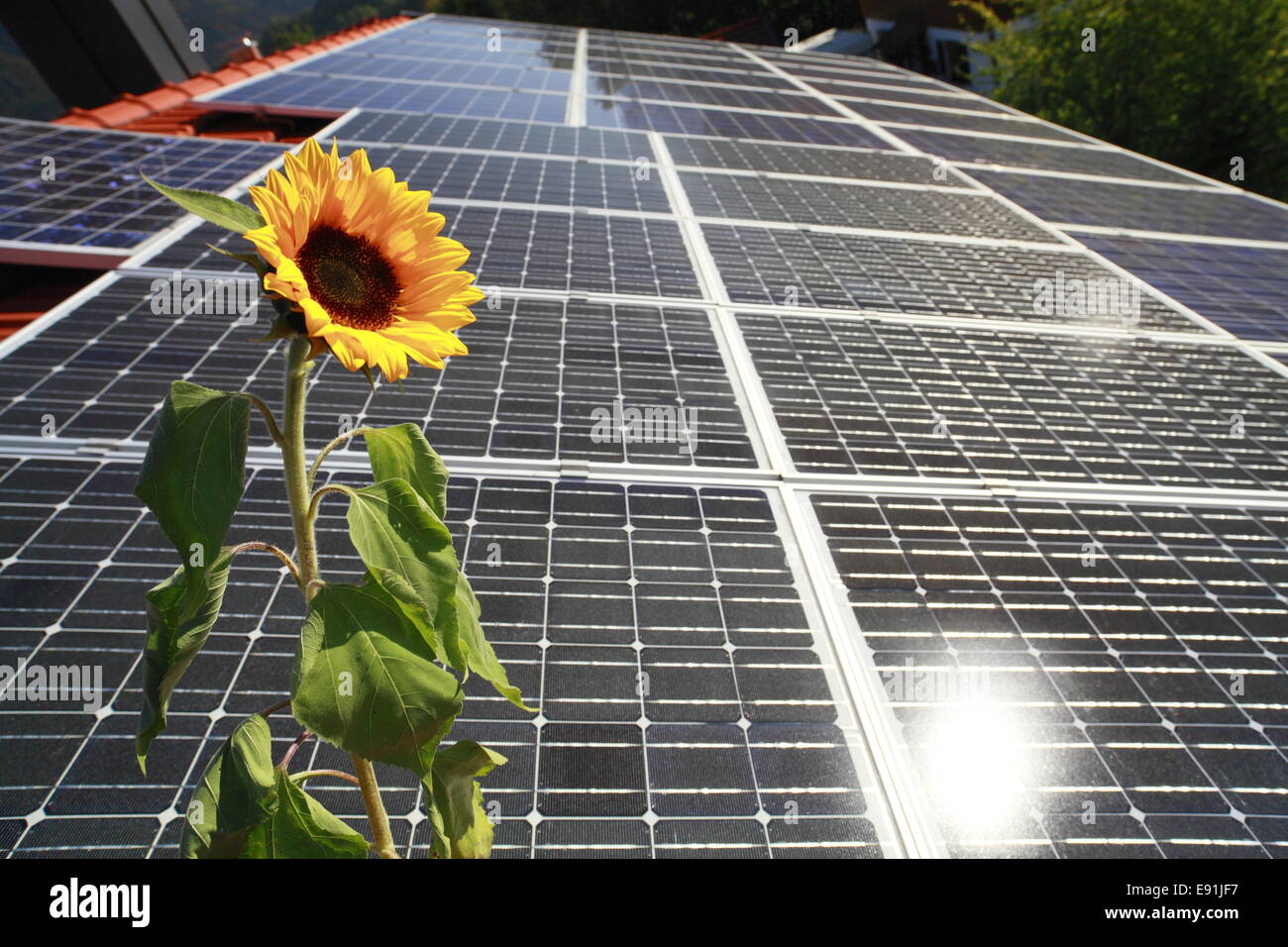 Solar symbol hi-res stock photography and images - Alamy