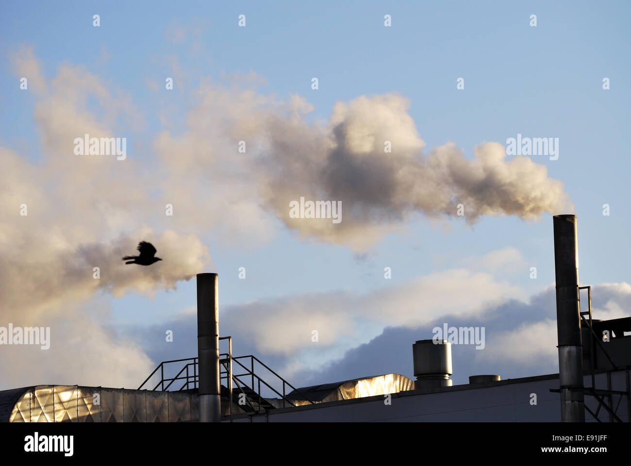Poisoning air hi-res stock photography and images - Alamy