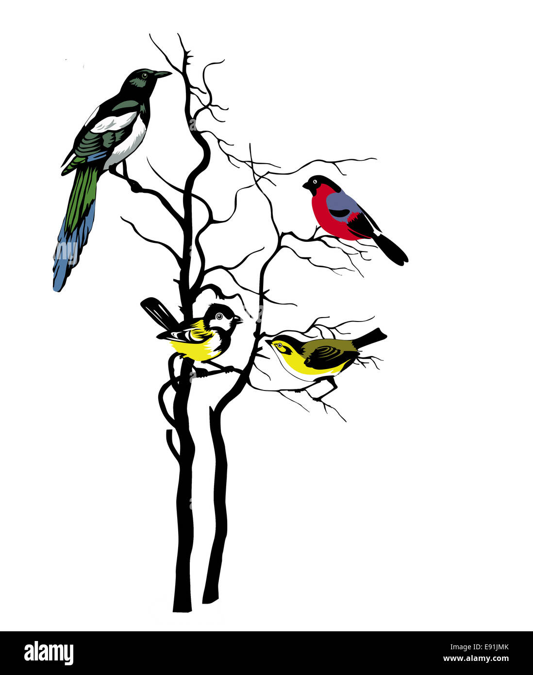 Black drawing of birds Cut Out Stock Images & Pictures - Alamy