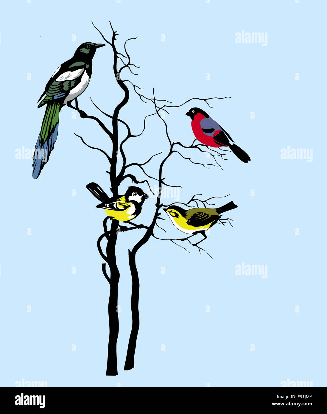 silhouette of the birds on tree Stock Photo - Alamy