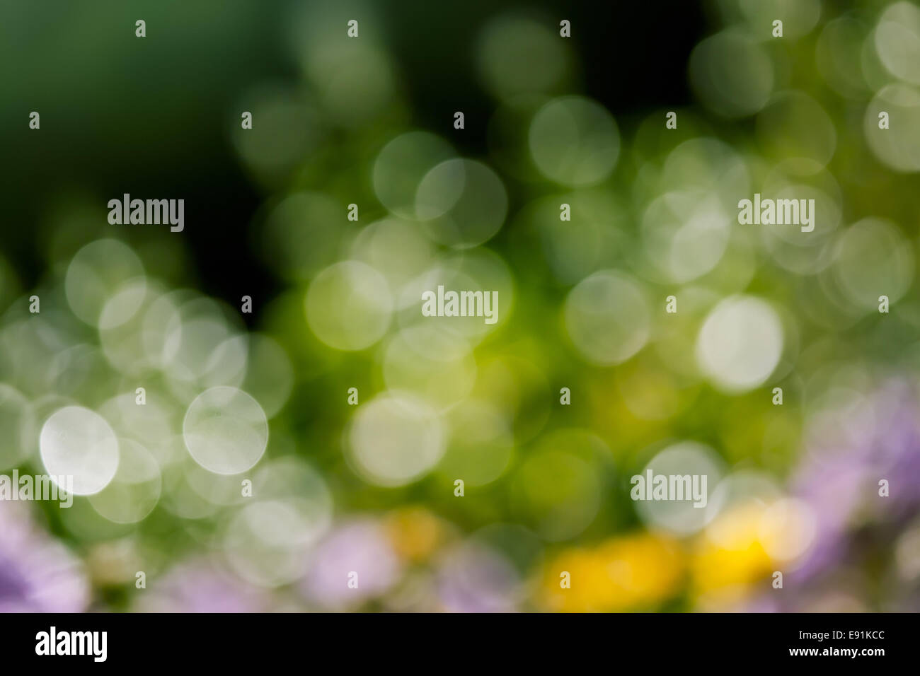 natural bokeh background Stock Photo - Alamy