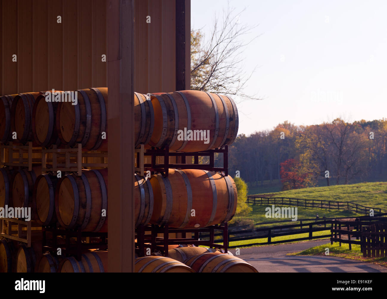 Wine barrels stacked in winery Stock Photo - Alamy
