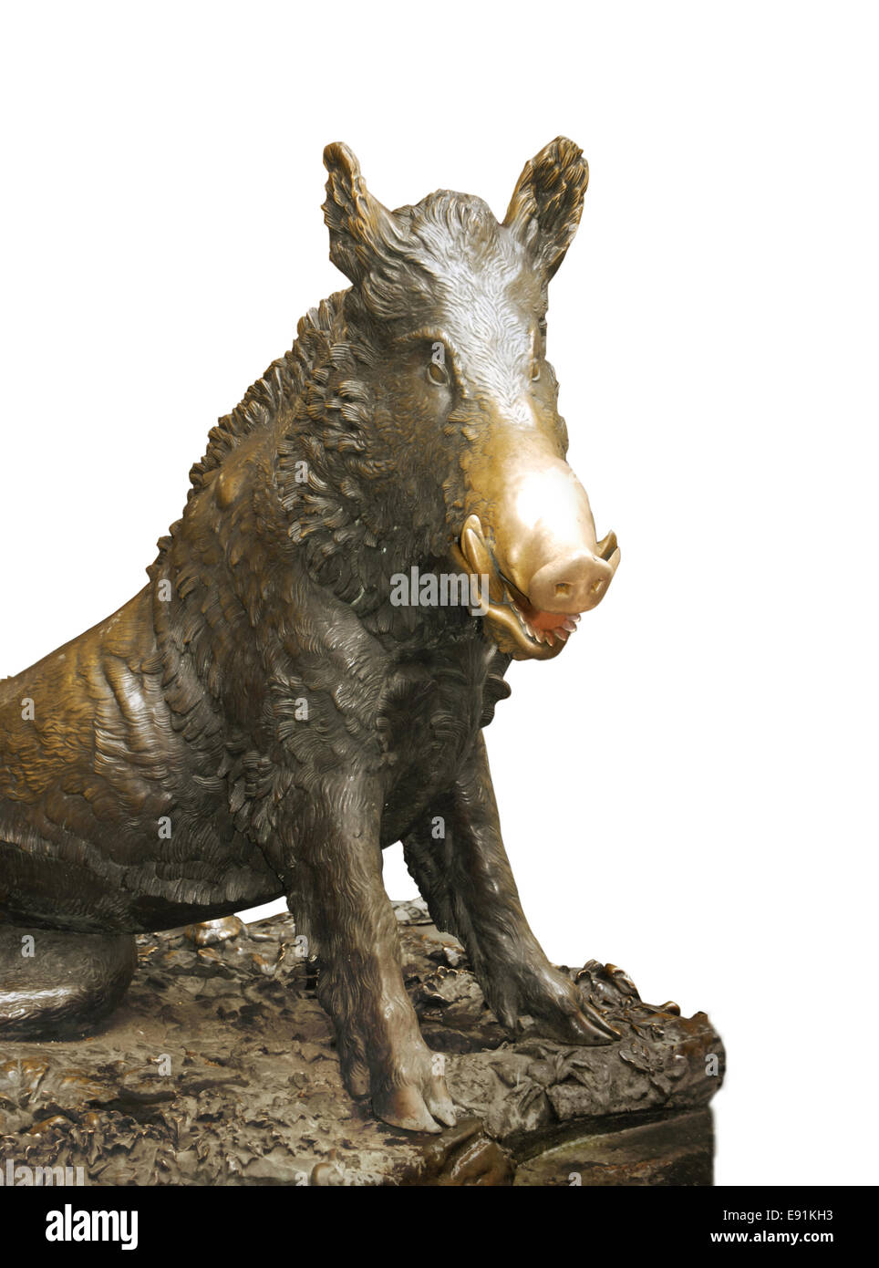 Florence wild boar hi-res stock photography and images - Alamy
