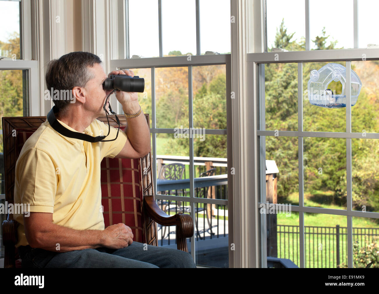 Man watching bird on feeder Stock Photo - Alamy