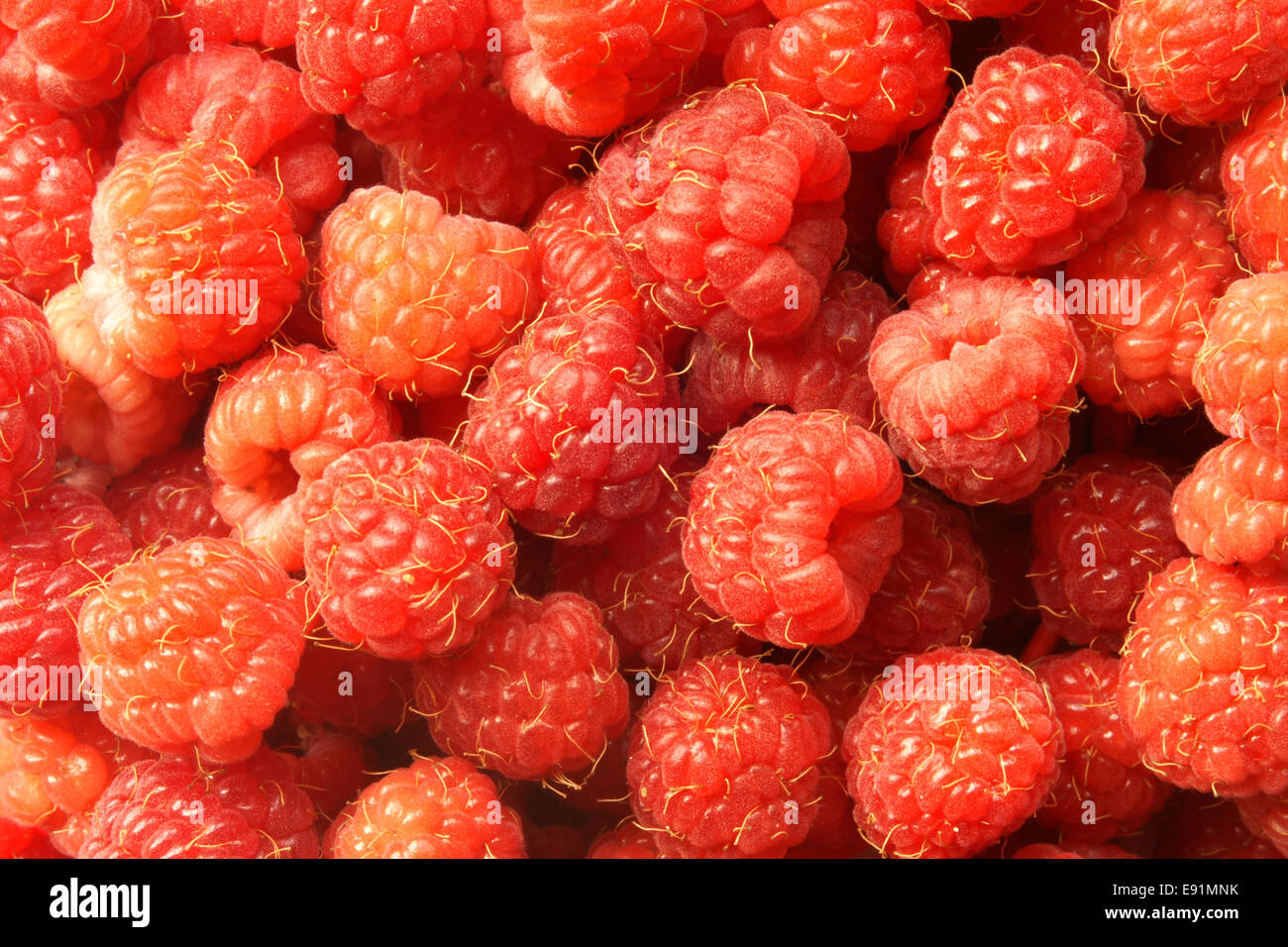 Berries of a raspberry Stock Photo - Alamy